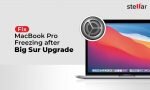 MacBook Sticky Notes: User Guide