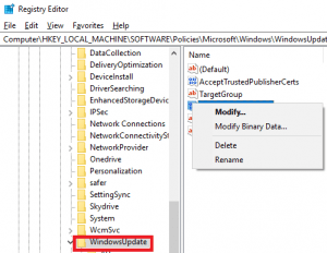 [solved]: How to Fix Windows Update Error 0x8024002e?